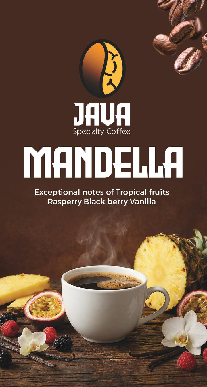 Feed Your Brain – JAVA Specialty Coffee